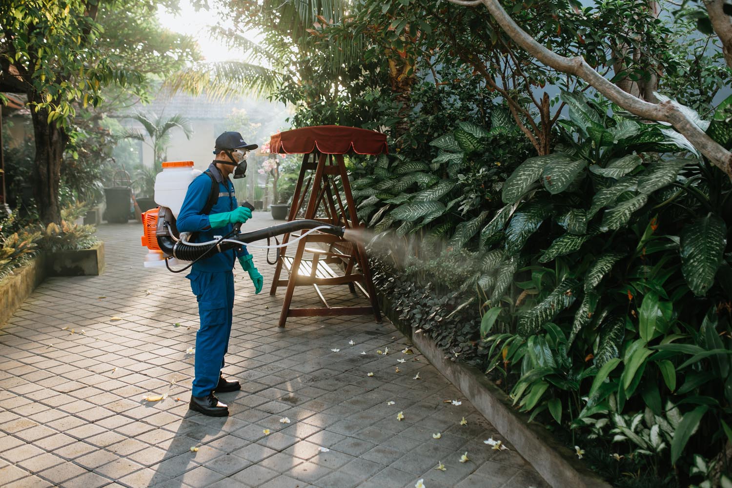 Pest Control - Nohama Indonesia